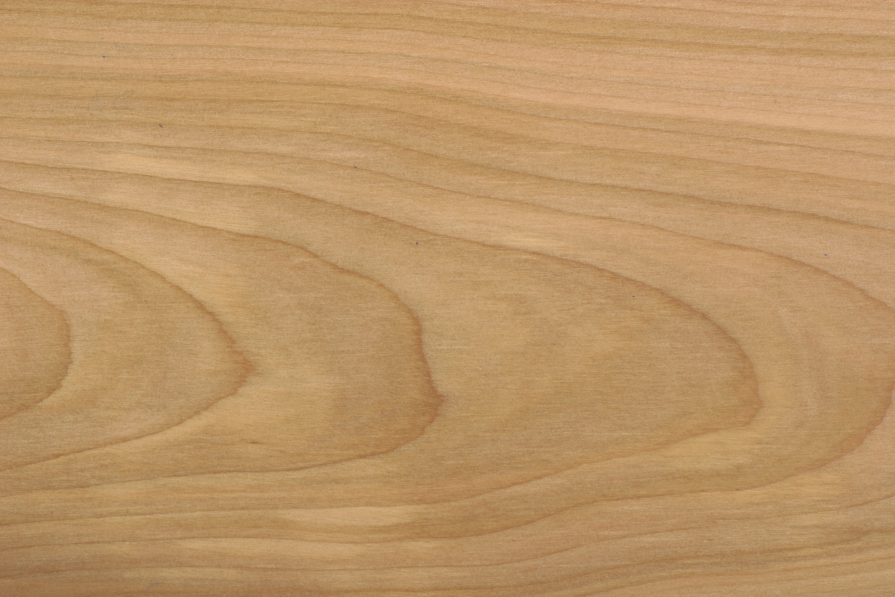Birch Lumber — Wood Flippers