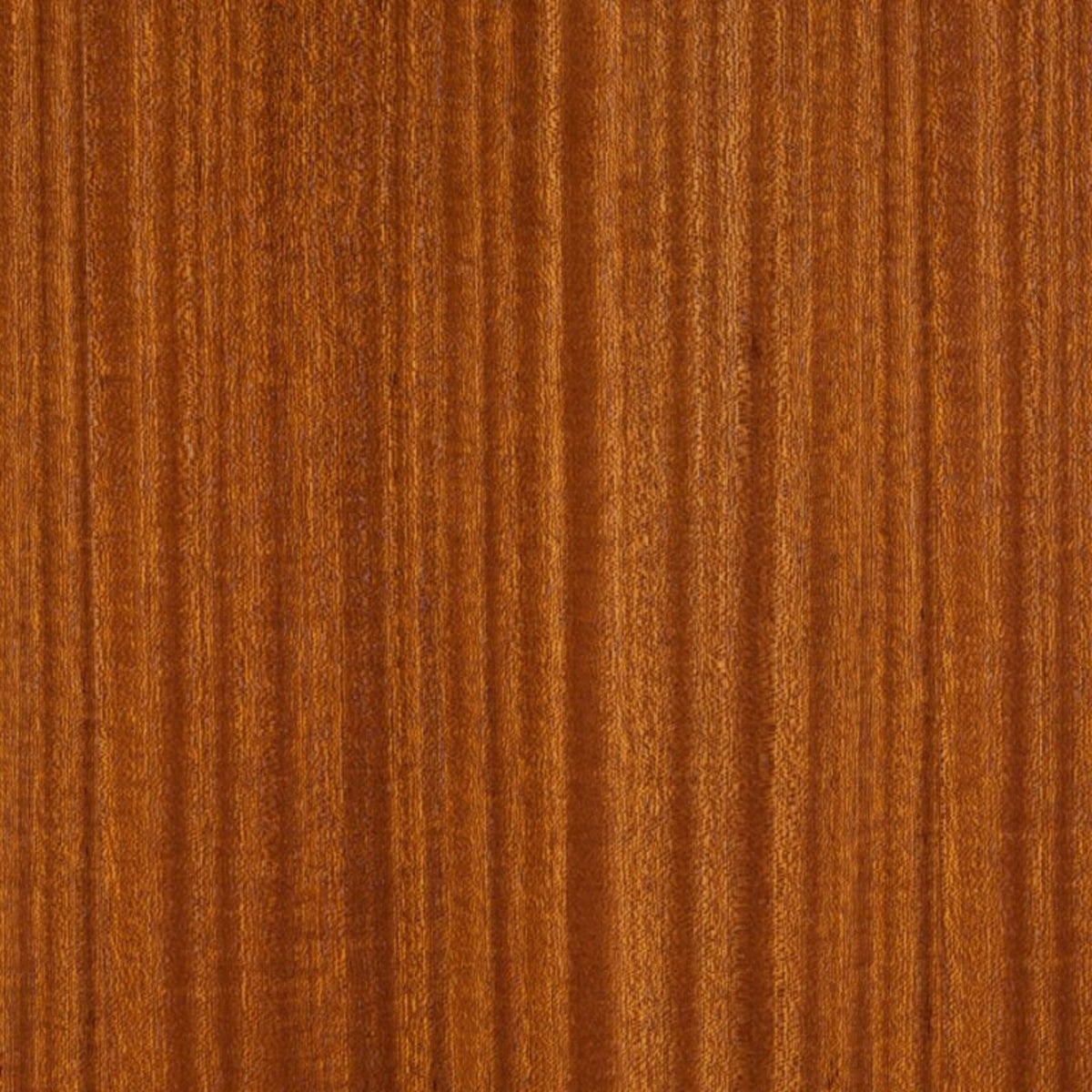 Home — Wood Flippers