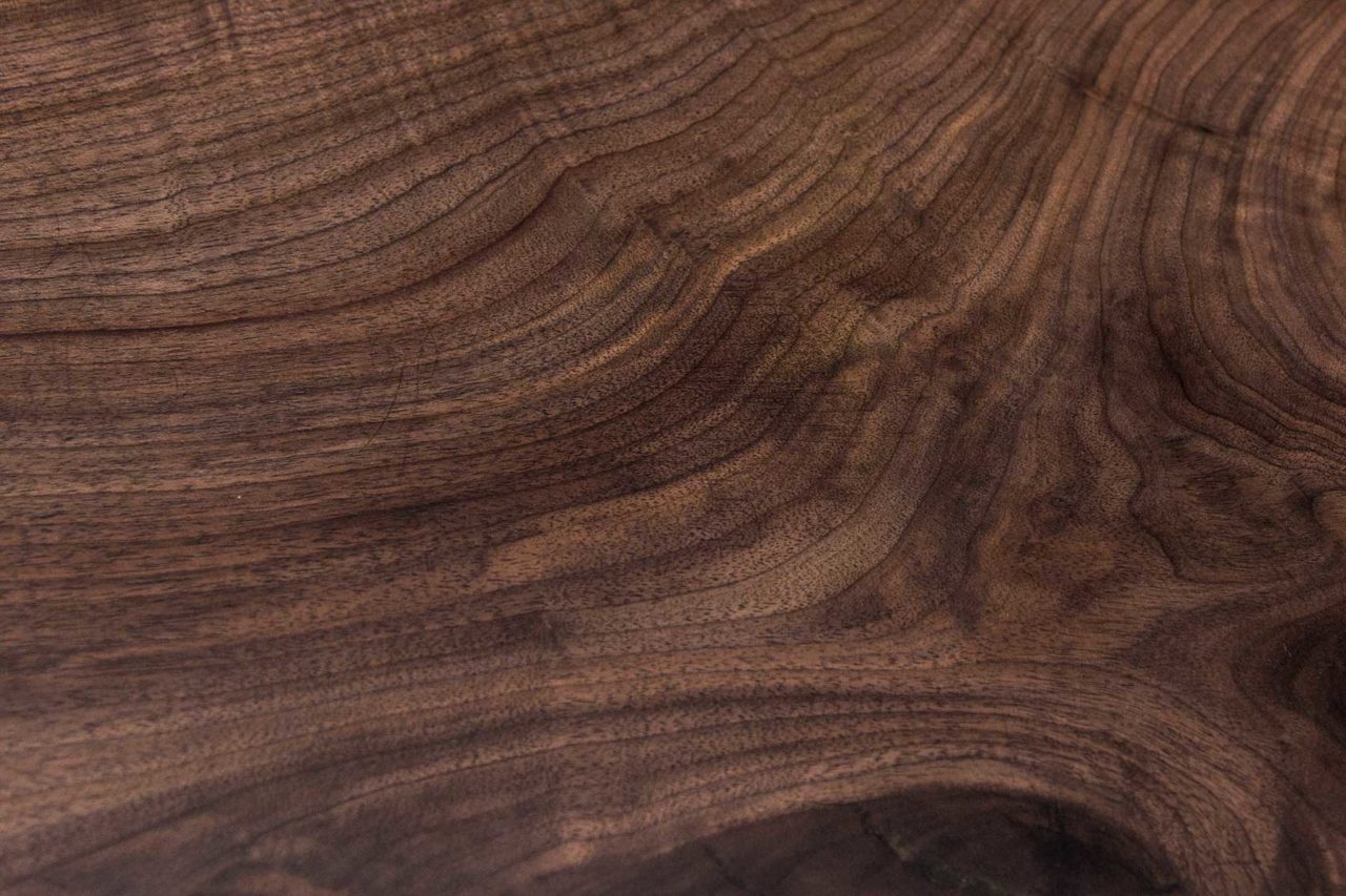 Domestic Species — Wood Flippers